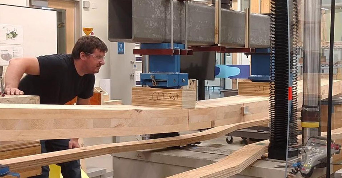 New Sustainable Building Materials Developed from Trees – Construction ...